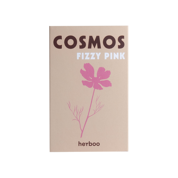 Cosmos 'Fizzy Pink' Seeds - Studio Dine